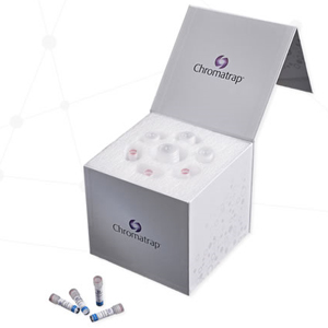 ChIP Positive Primer Sets Positive Primer Set 3,Porvair Sciences ...